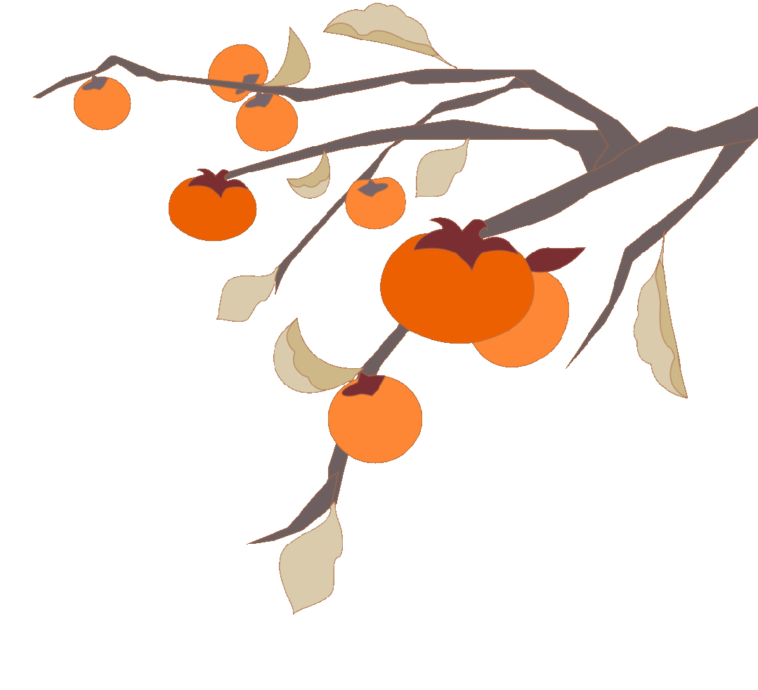 倾听少年心声 普法精准滴灌——昆区司法局“徐娜说法”解锁法治教育新方式